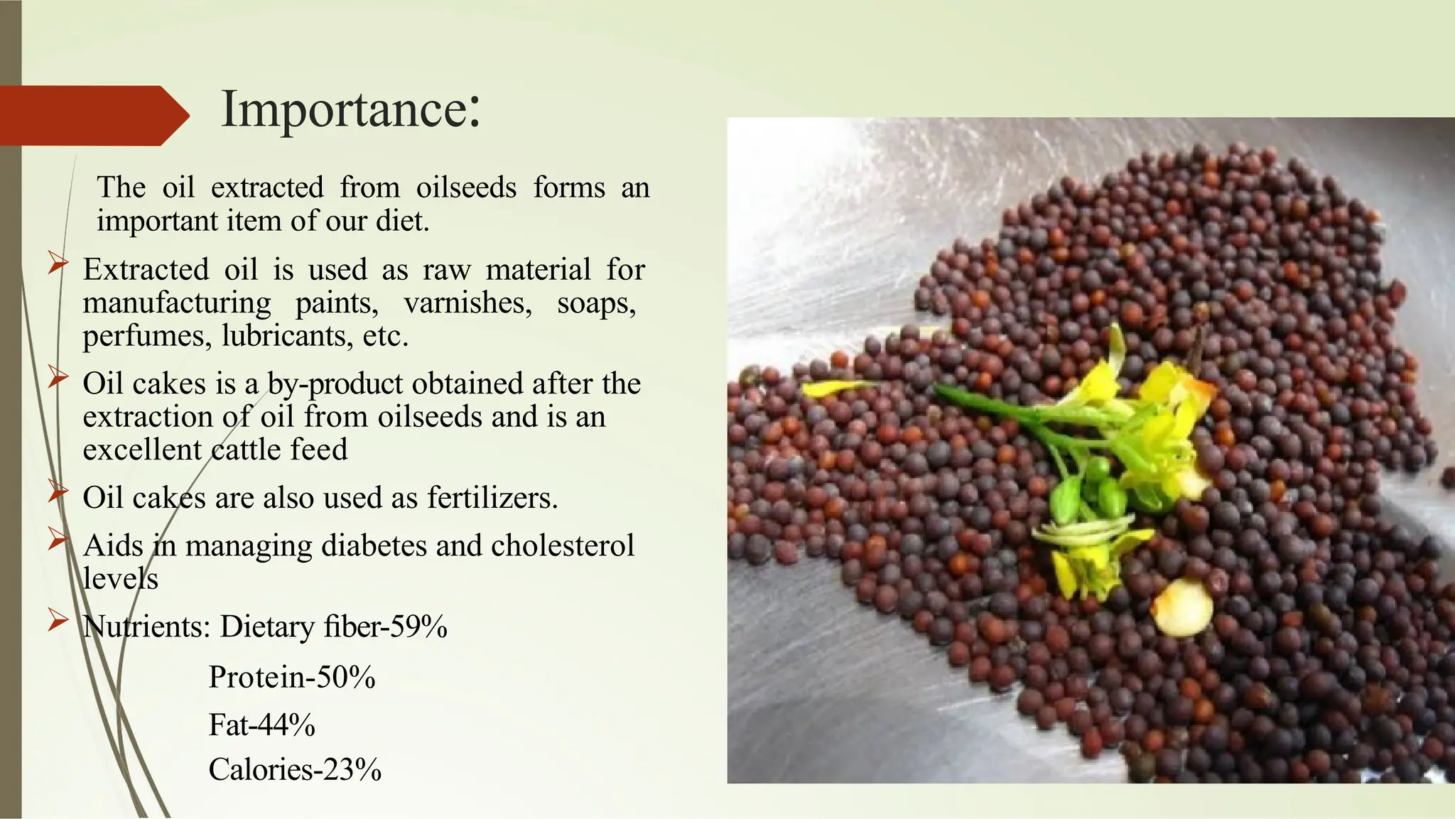 seed production thechnology in mustard.pptx