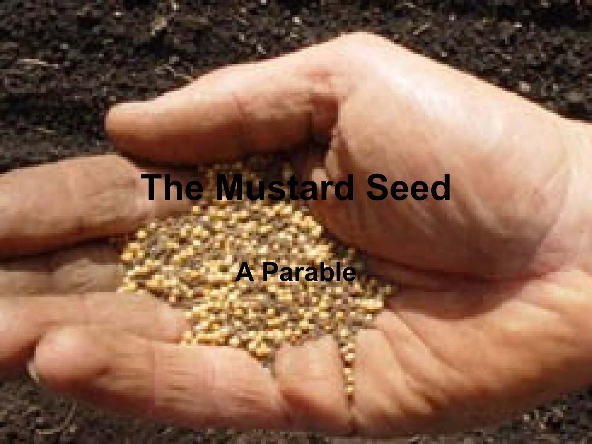 Mustard seed parable | PPT