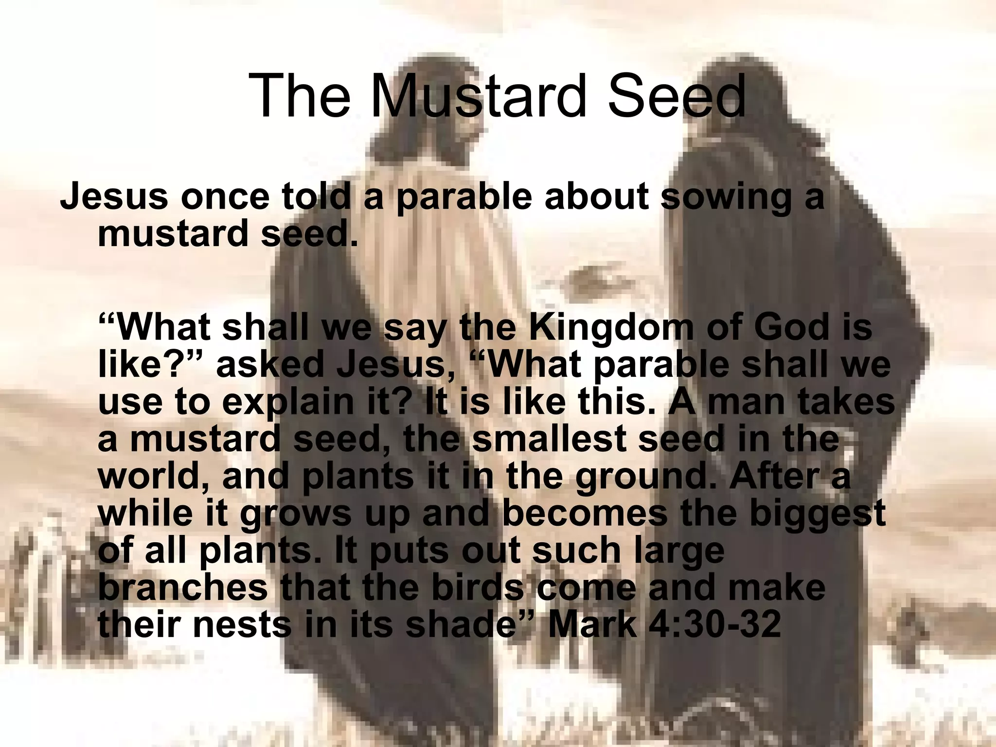 Mustard seed parable | PPT