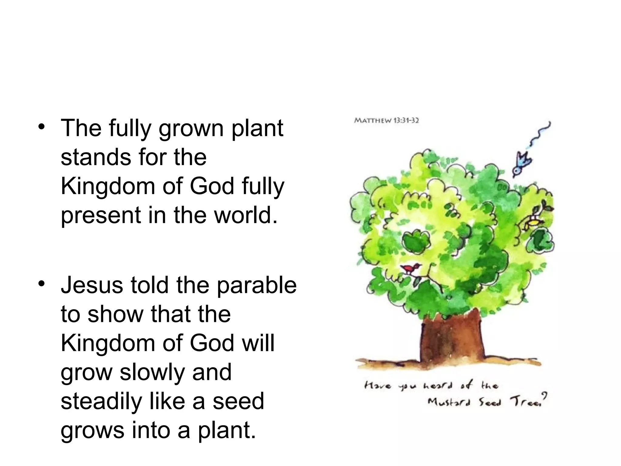 Mustard seed parable | PPT