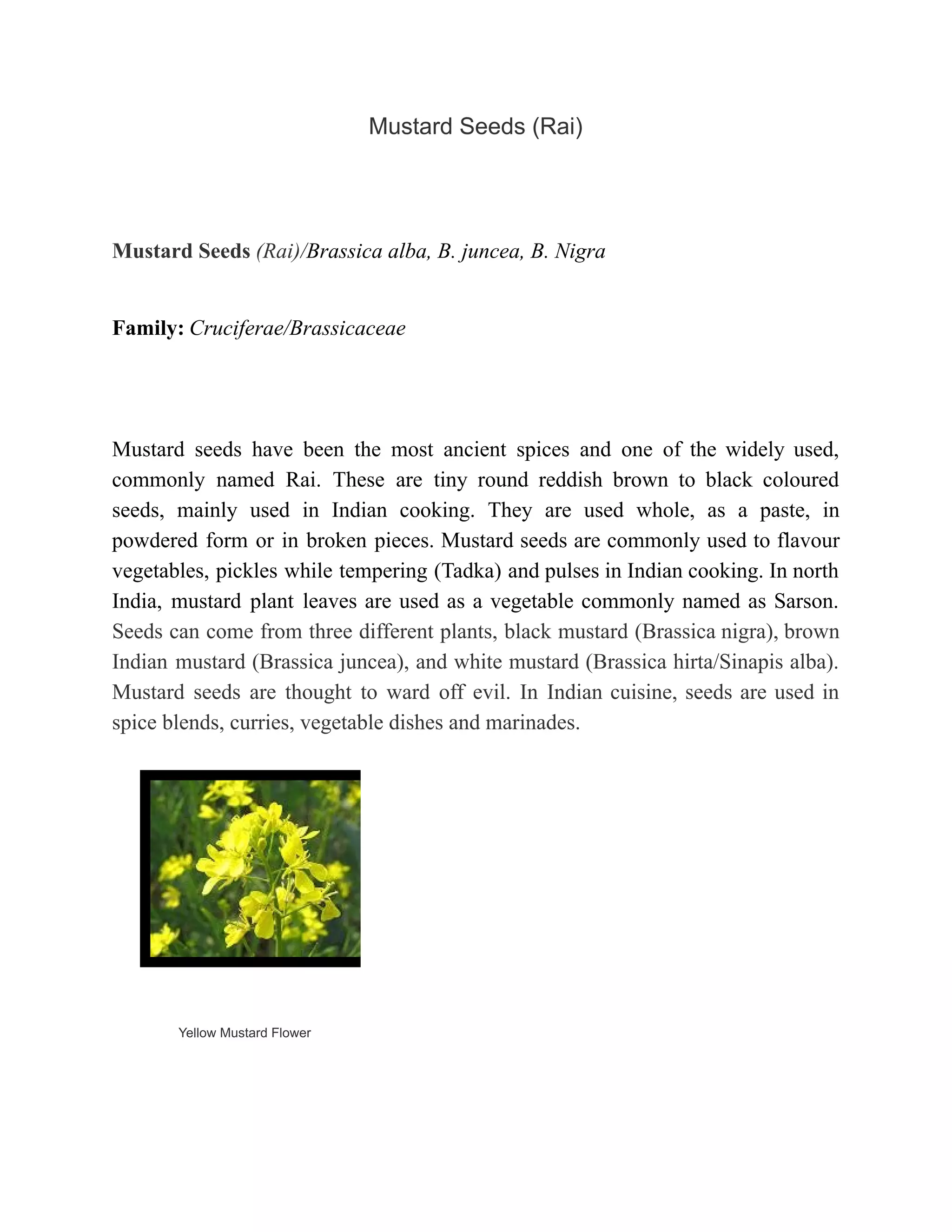 Mustard seeds (rai) | PDF