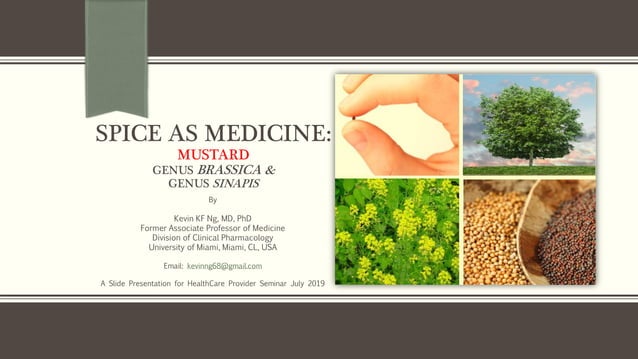 Spice as Medicine:Mustard, Genus Brassica & Genus sinapis | PDF ...