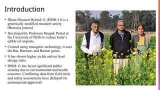 Dm-11 mustard breeding powerpoint -1.pptx