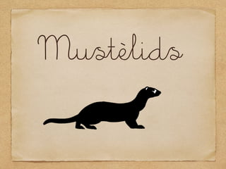 Mustelids pdf | PDF