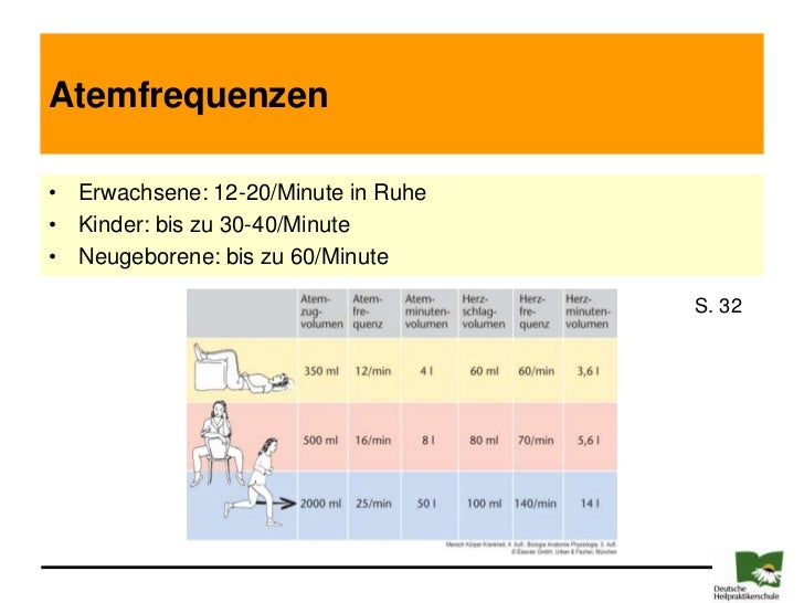 Musterpräsentation Atmungssystem 2011