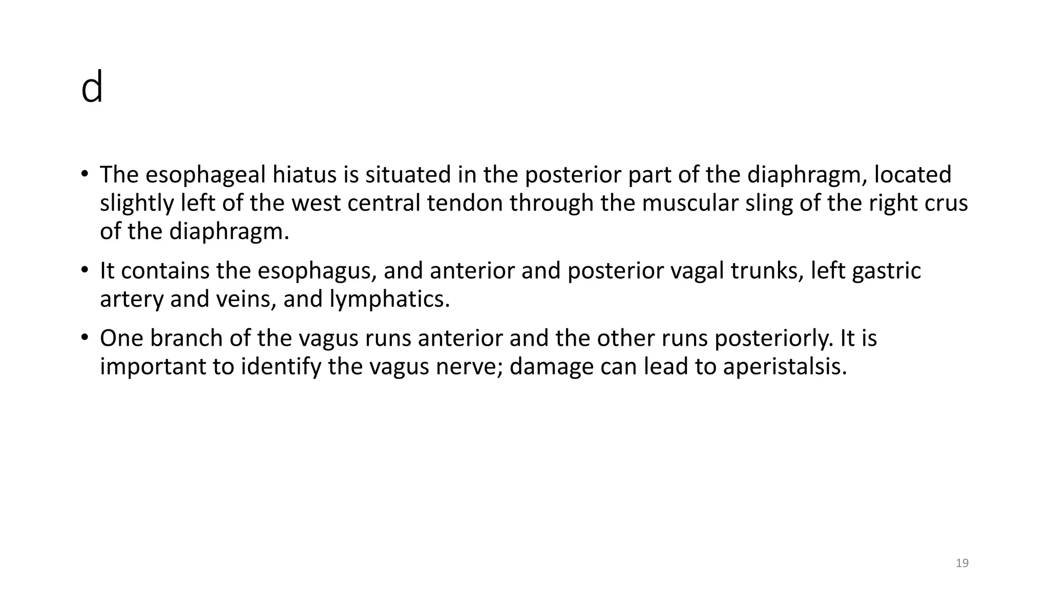 Must Know Diaphragm Anatomy MCQs | PPTX