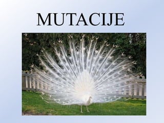 Mutacije | PPTX