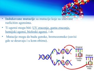 Mutacije | PPT