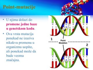 Mutacije | PPT