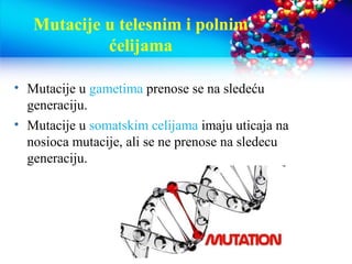 Mutacije | PPT