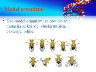 Mutacije | PPT