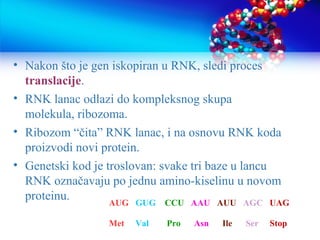 Mutacije | PPT