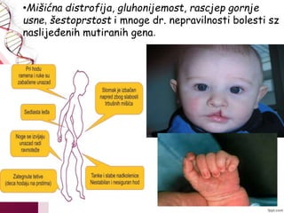Mutacije | PPTX