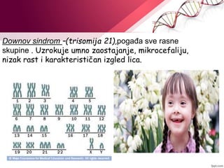 Mutacije | PPTX
