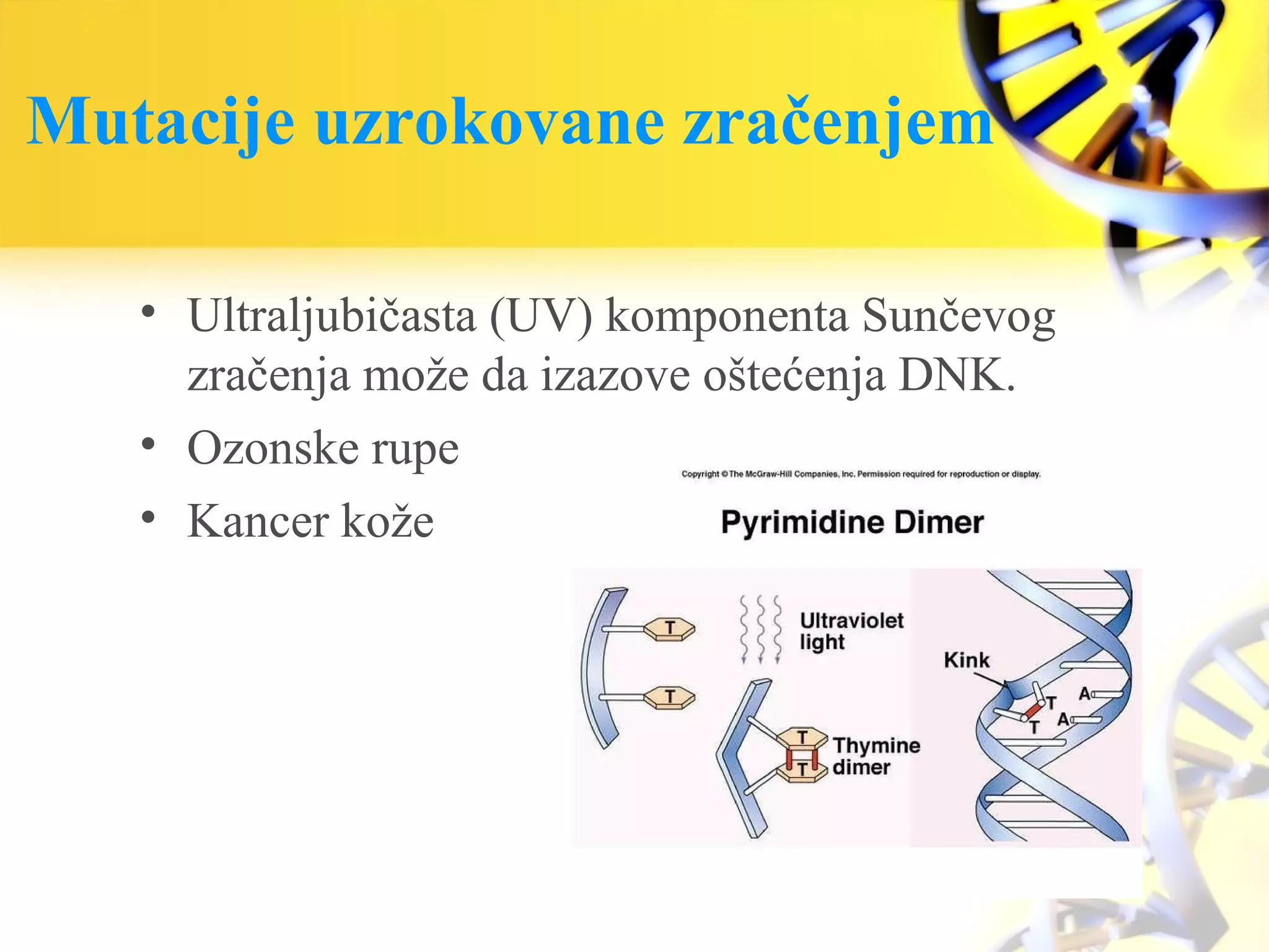 Mutageni; geni i kancer | PPT