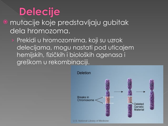MUTACIJE ppt sve.ppt за среднју школу је | PPT