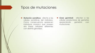 Mutación | PPTX