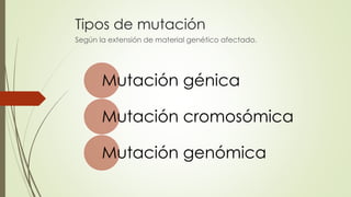 Mutación | PPTX