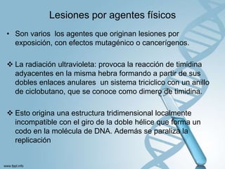 Mutación y mutagenesis | PPTX