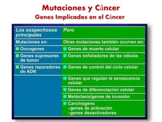 Mutacion | PPTX