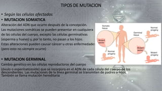 Mutaciones y Mutagenos | PPTX