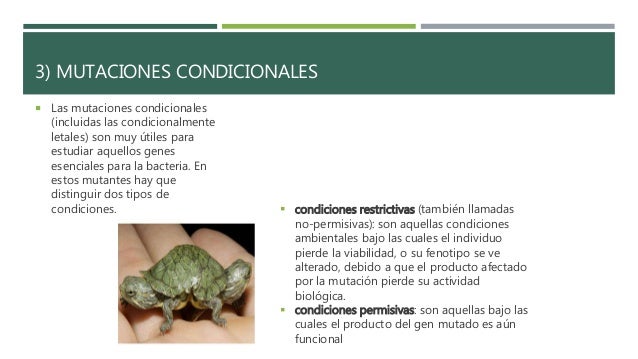 Malformaciones geneticas- Mutacion