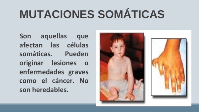 Mutaciones y sus diversas clasificaciones. Lic Javier Cucaita