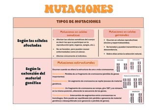 Cuadros comparativos sobre Tipso de Mutaciones | PDF