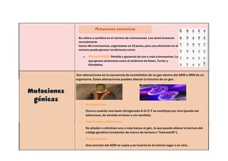 Cuadros comparativos sobre Tipso de Mutaciones | PDF