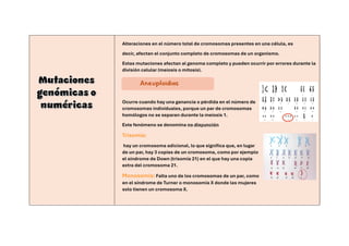 Cuadros comparativos sobre Tipso de Mutaciones | PDF