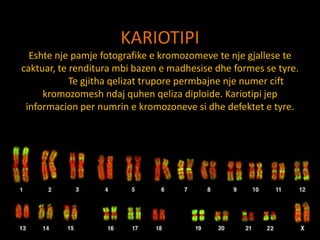 Mutacionet gjenetike | PPTX