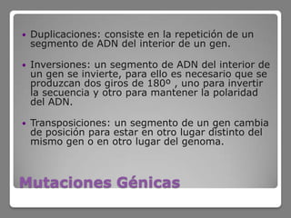 Mutaciones y reparación del adn | PPTX