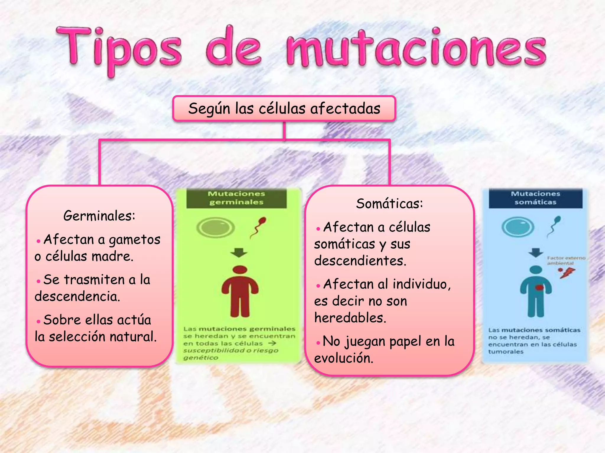 Mutaciones y sus tipos | PPTX
