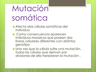 Mutación genética | PPTX