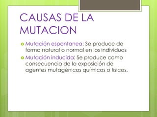 Mutación genética | PPTX