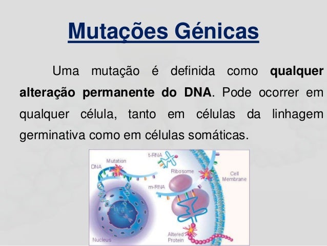 Mutações - Biologia 12º