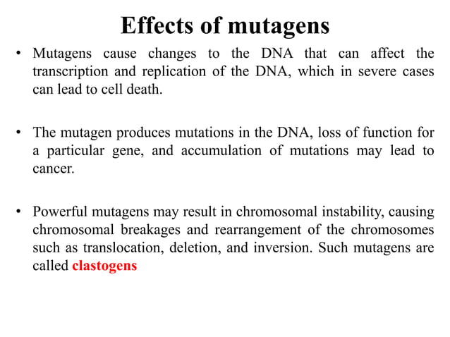 Mutagen | PPTX | Chemistry | Science