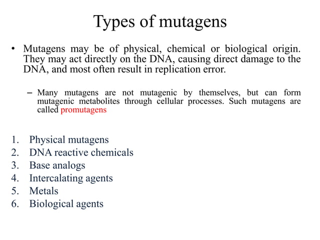 Mutagen | PPTX | Chemistry | Science