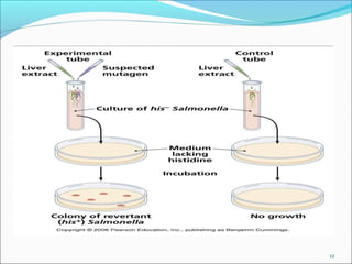 Mutagencity and its types ppt | PPT