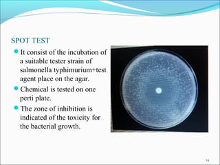 Mutagencity and its types ppt | PPT