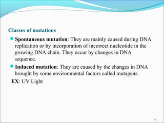 Mutagencity and its types ppt | PPT
