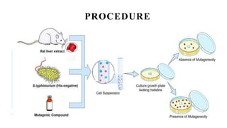 TEST FOR GENE MUTATION IN BACTERIA CHROMOSOMAL DAMAGE, IN VIVO ...