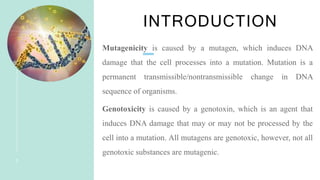 TEST FOR GENE MUTATION IN BACTERIA CHROMOSOMAL DAMAGE, IN VIVO ...