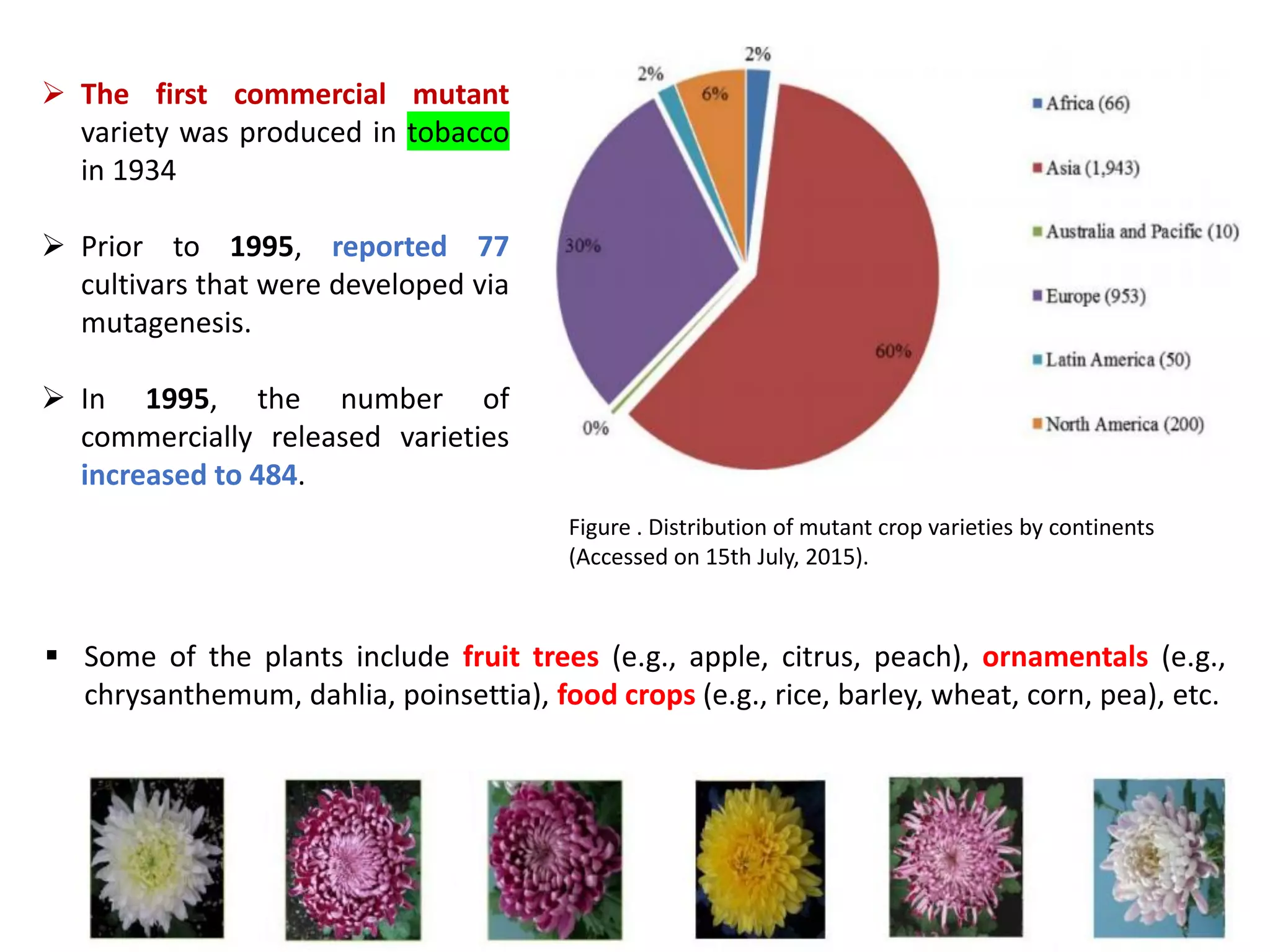 Mutagenesis | PDF