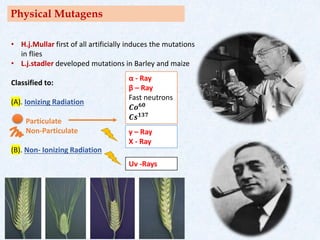 Mutagenesis | PDF