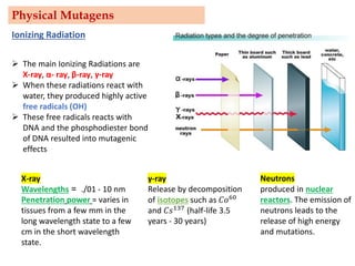 Mutagenesis | PDF