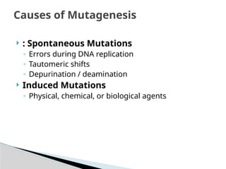 TYPES AND MECHANISMS OF MUTAGENESIS.pptx