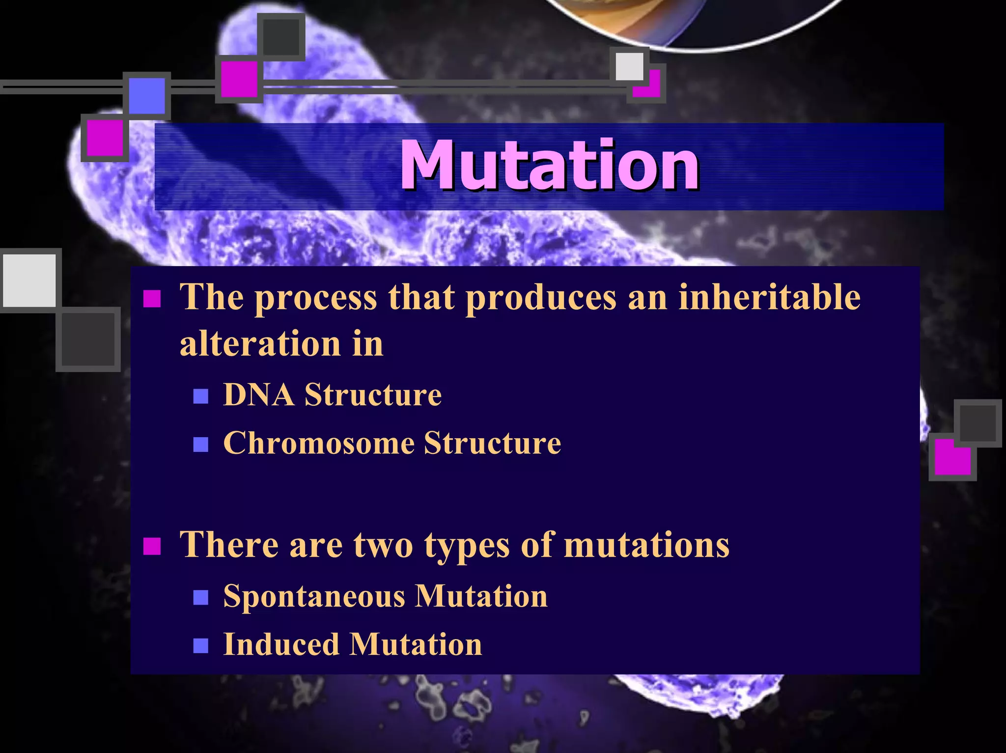 Mutagens and their actions | PDF