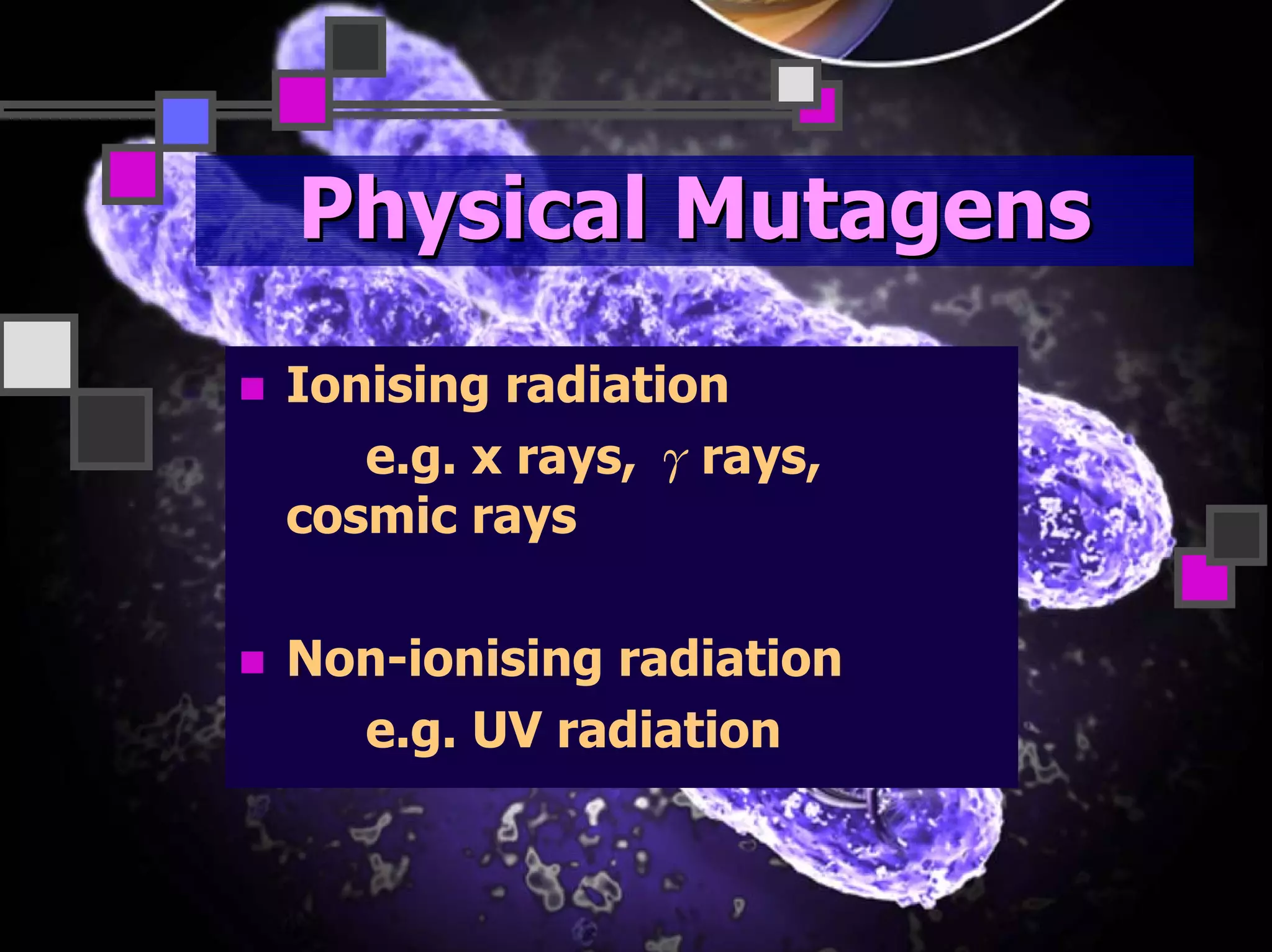 Mutagens and their actions | PDF
