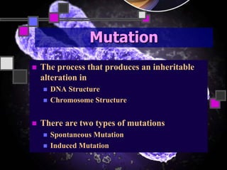Mutagens and their actions | PDF